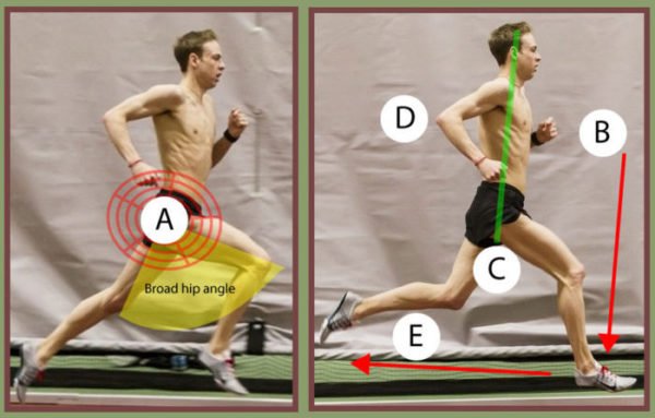 Running Perfection What it takes to be a great runner – The Natural ...